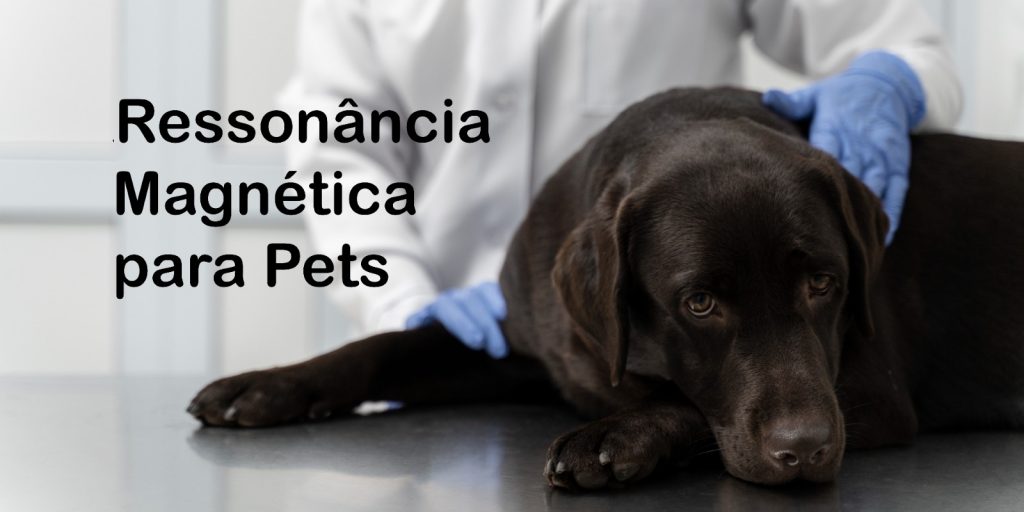 RESSONÂNCIA MAGNÉTICA PARA PETS – Hospital Veterinário Cambuí